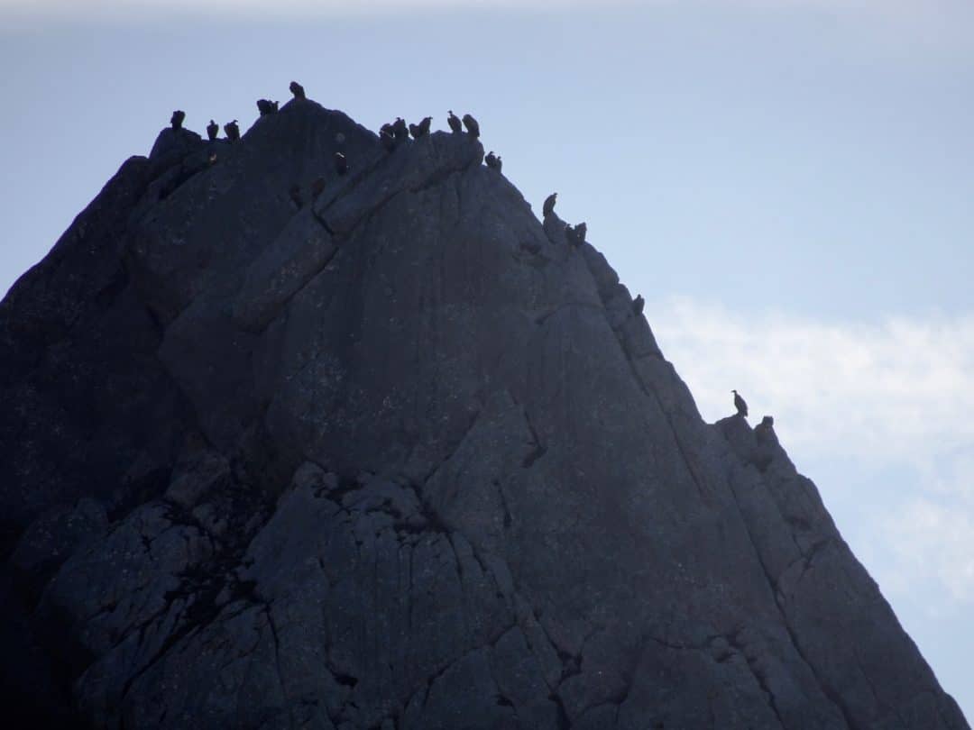 La Mamule : Nouvelle voie Piola - HELYUM