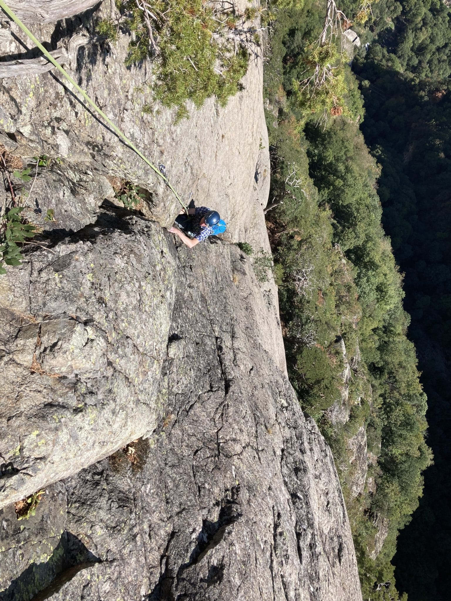 Panthère Rose à la Dalle à Bornet - HELYUM