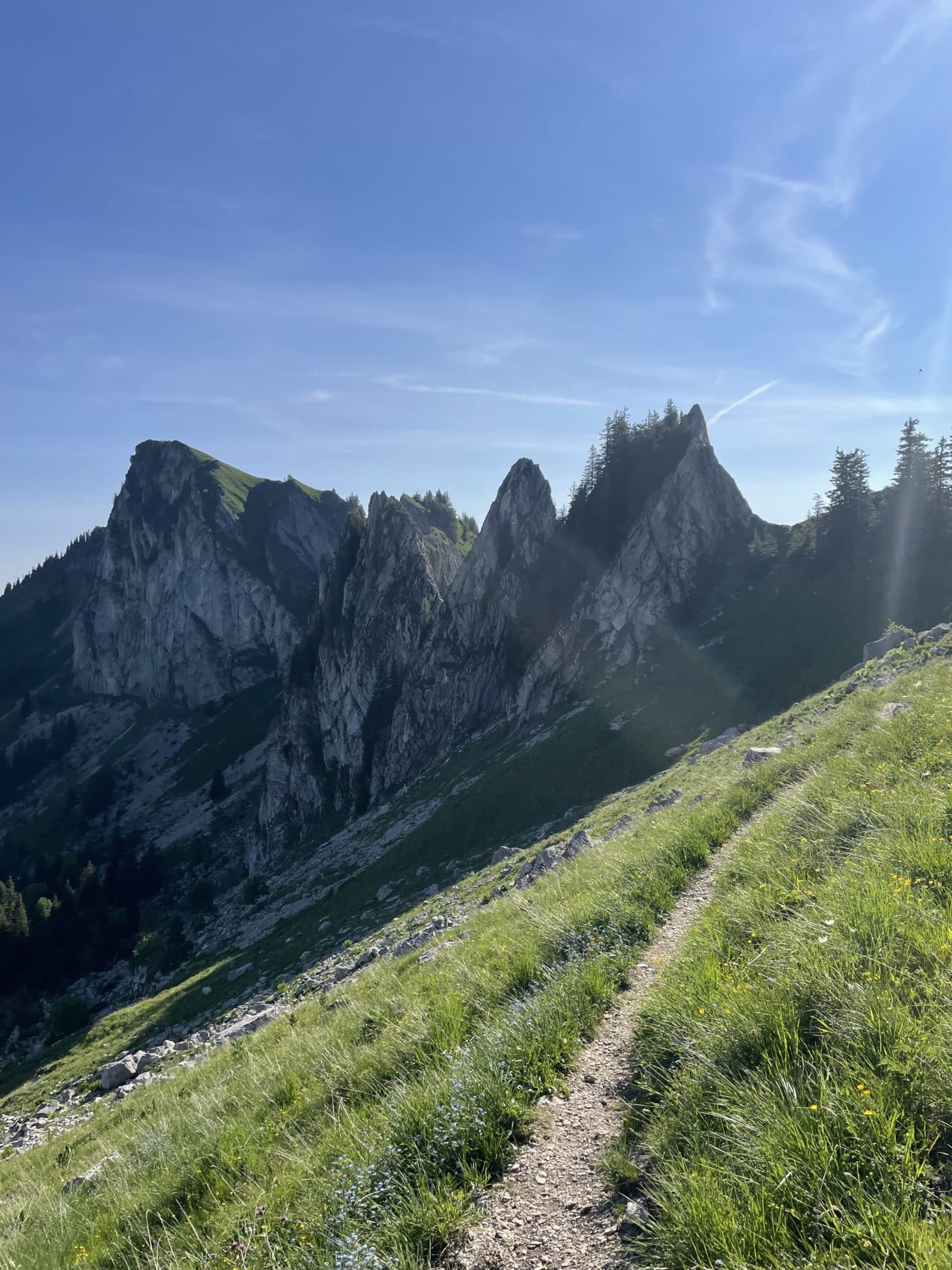 Les gais alpins - HELYUM